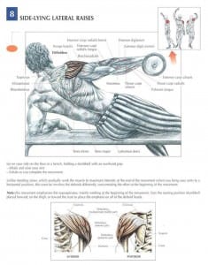 Side Lying Lateral Raise | Nasıl Yapılır? - FitnessAndBeast